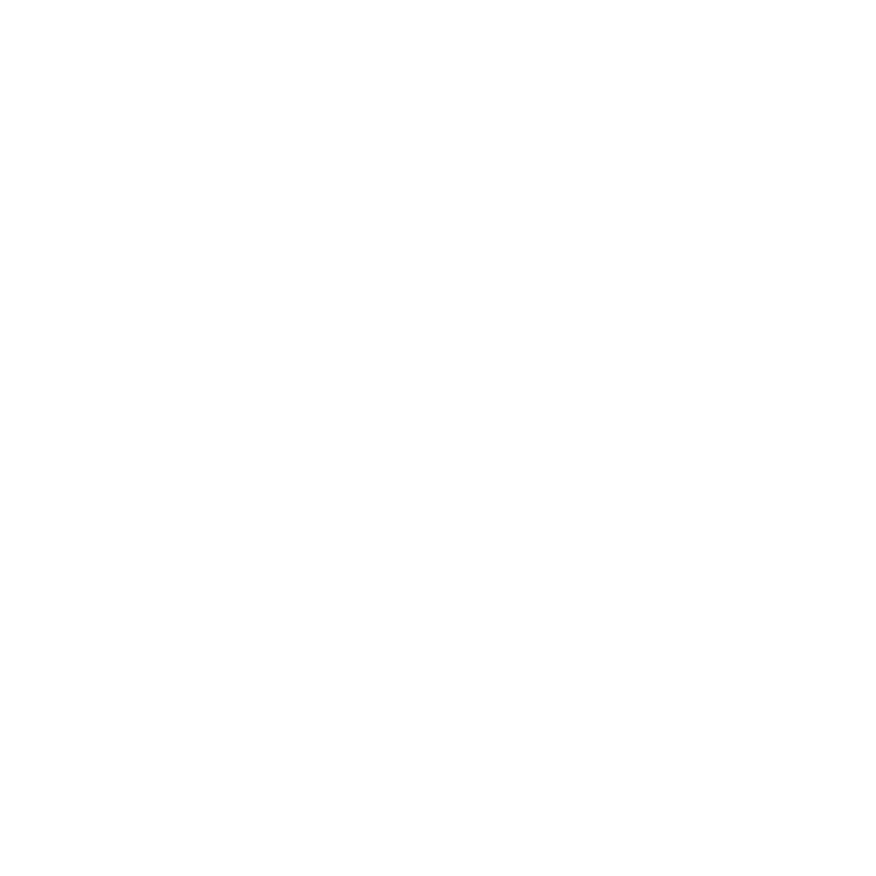 SKYGUARD – Seguridad
